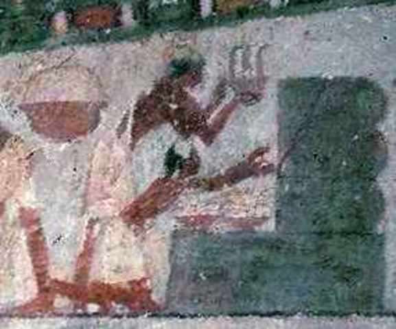 History of Bees timeline | Timetoast timelines