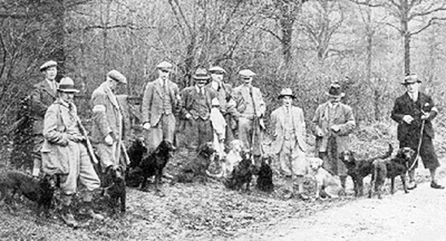 La Evolución del perro timeline | Timetoast timelines