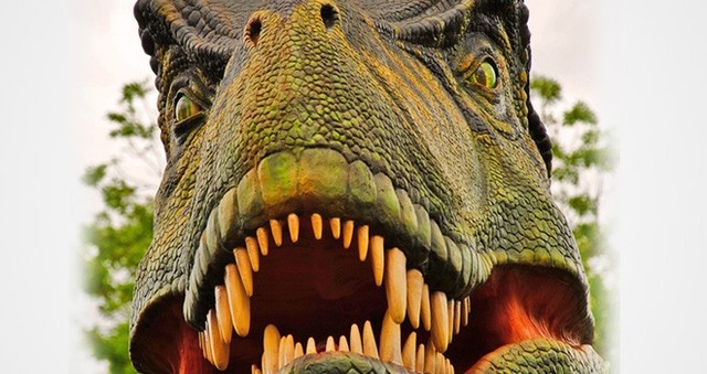 HISTORIA DE EL TIRANOSAURIO REX timeline | Timetoast timelines