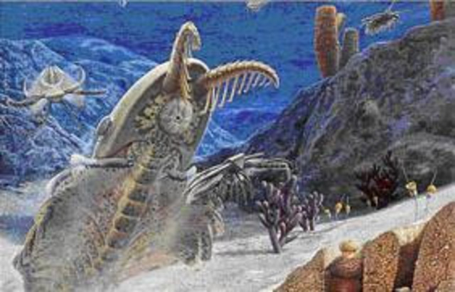 historia geologica de la tierra timeline | Timetoast timelines