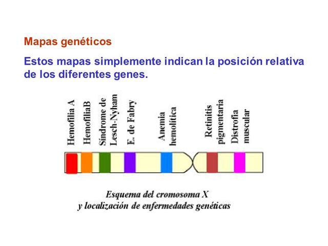 Principales acontecimientos en torno a los descubrimientos sobre el ADN timeline | Timetoast ...