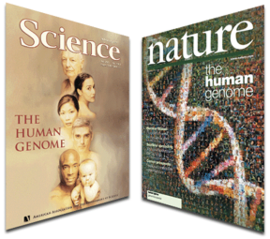 PROYECTO GENOMA HUMANO timeline | Timetoast timelines