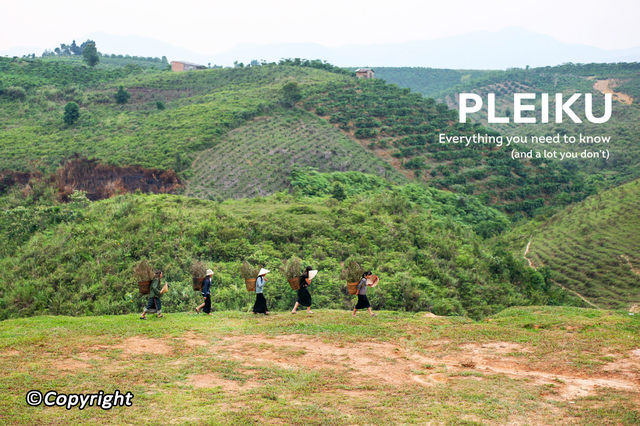 The Vietnam War Era timeline | Timetoast timelines