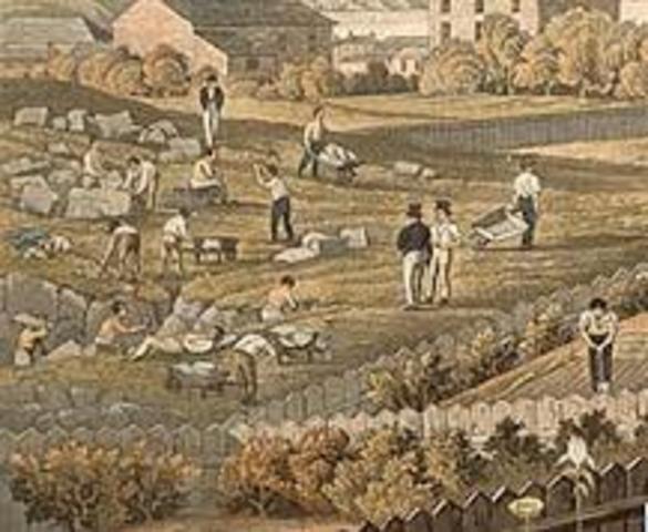 The Role of Convicts in Colonial Australia timeline | Timetoast timelines
