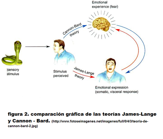 POSTURAS TEÓRICAS DE LA EMOCIÓN timeline | Timetoast timelines