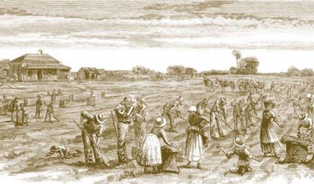 Bridies Timeline Of The British Colonisation Of Australia | Timetoast ...