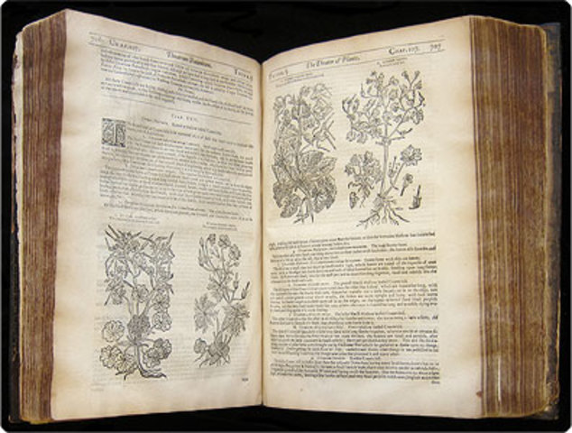 Timeline of Dentistry | Timetoast timelines