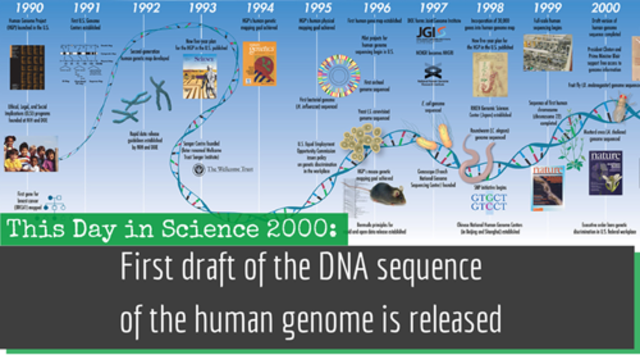 The history of Biotechnology (Valentina Modolo) timeline | Timetoast ...