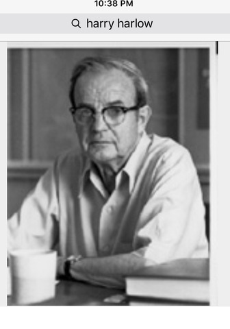 Historical Timeline | Timetoast timelines