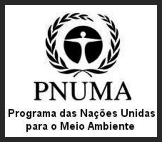 Desarrollo Sustentable timeline | Timetoast timelines