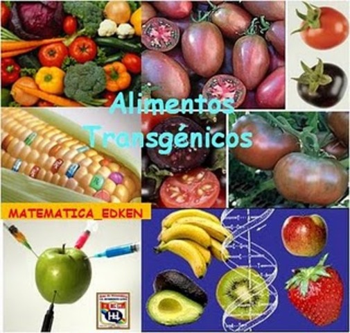 Lista 97+ Foto Imagenes De Alimentos Transgenicos En Mexico Actualizar
