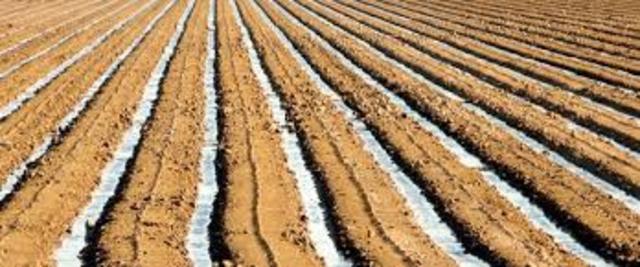 Sumerian Levees And Irrigation System
