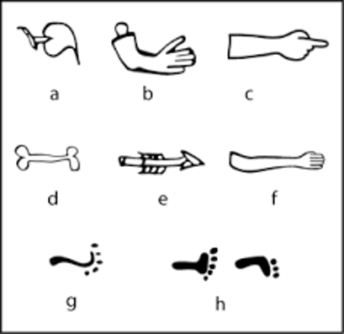 HISTORIA DE LA ESCRITURA Y SISTEMA MÉTRICO DECIMAL timeline | Timetoast ...