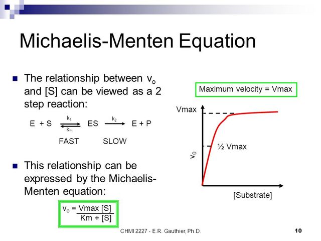 Historia y evolución de la Bioquímica timeline | Timetoast timelines