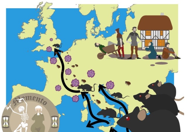 THE HISTORY OF ENGLAND timeline | Timetoast timelines