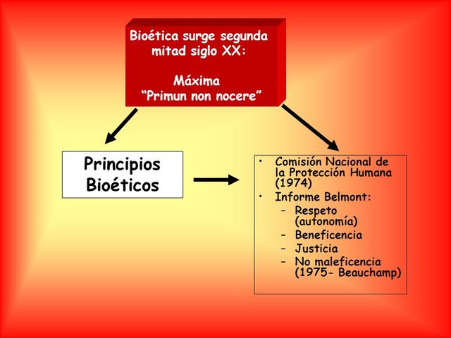 HECHOS IMPORTANTES DE LA BIOETICA timeline | Timetoast timelines