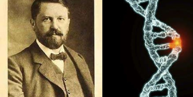 HISTORIA DE LA GENETICA timeline | Timetoast timelines