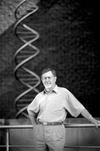 Historia de la genética timeline | Timetoast timelines