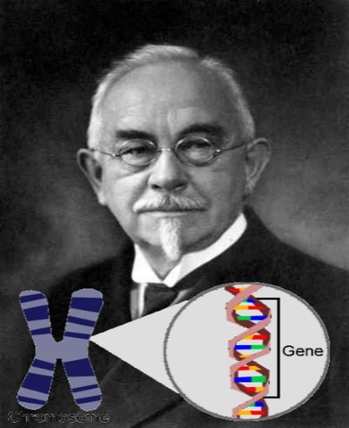 Linea de tiempo sobre genetica timeline | Timetoast timelines