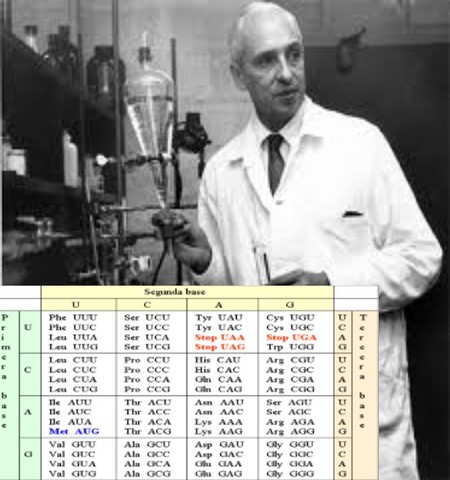 Linea de tiempo sobre genetica timeline | Timetoast timelines