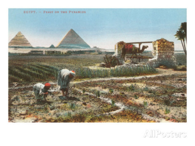 Egypt Timeline | Timetoast timelines