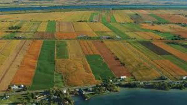 Population timeline | Timetoast timelines