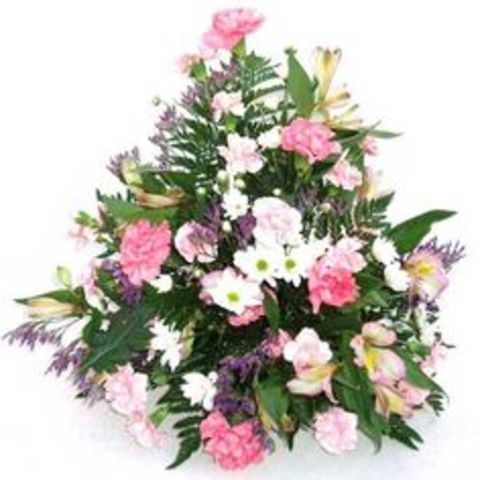 Flowers timeline | Timetoast timelines
