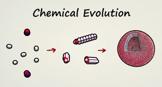 Theories about life and evolution timeline | Timetoast timelines