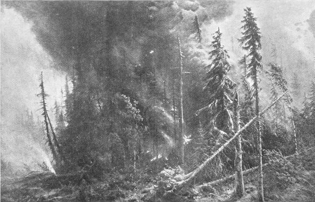 Wildfires in the U.S. timeline | Timetoast timelines