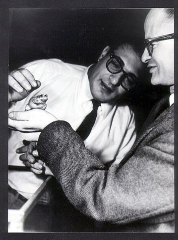 Artificial Intelligence timeline | Timetoast timelines