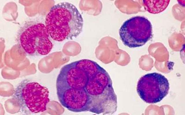 The Cell Theory timeline | Timetoast timelines