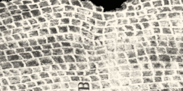 Cell Theory timeline | Timetoast timelines