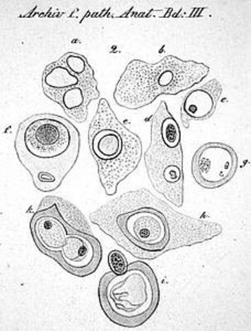 Cell Theory timeline | Timetoast timelines