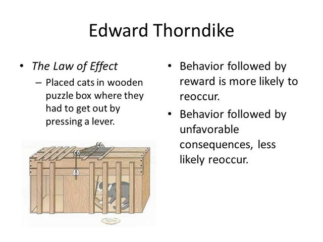 Behaviorismo timeline | Timetoast timelines