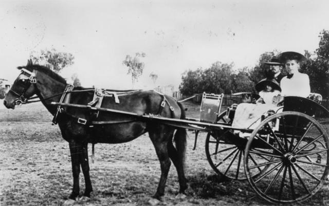 the land transportation timeland timeline | Timetoast timelines