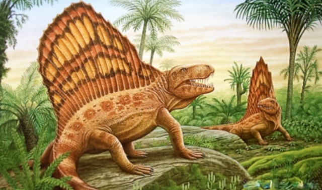 La edad de la tierra timeline | Timetoast timelines