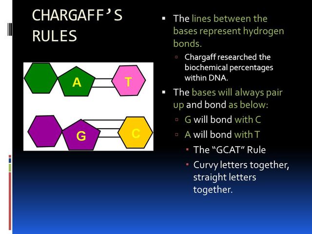 Linea de tiempo del modelo de la molécula de DNA timeline | Timetoast ...