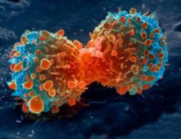 Cell Theory timeline | Timetoast timelines