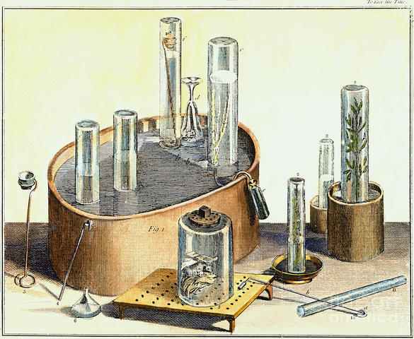 XII-XVIII: SCIENTIFIC ADVANCES timeline | Timetoast timelines