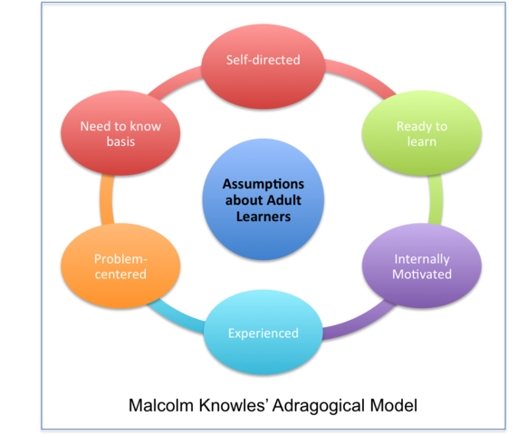 Adult Education Timeline | Timetoast timelines