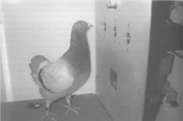 CONDUCTISMO timeline | Timetoast timelines