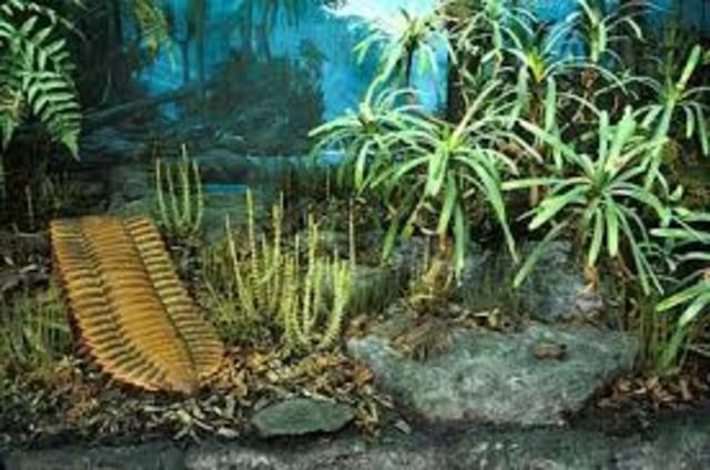 Geological timescale timeline | Timetoast timelines