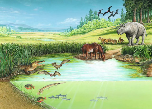 Geological Timeline | Timetoast timelines