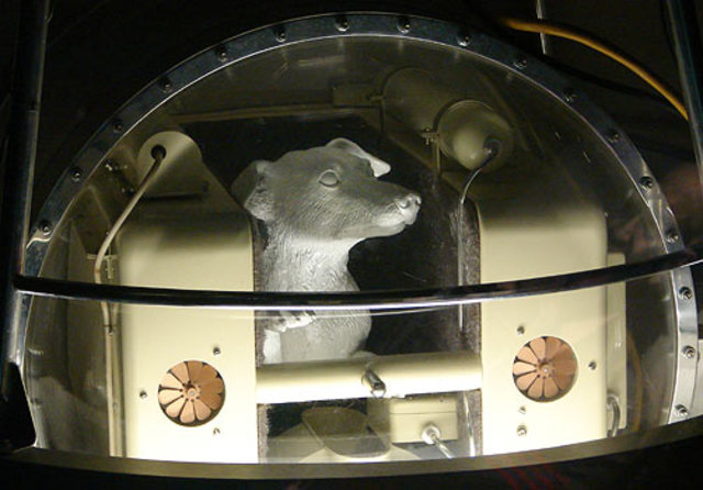 spotnik1 timeline | Timetoast timelines