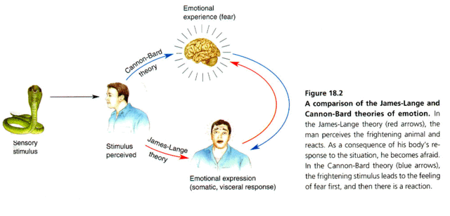Emociones timeline | Timetoast timelines