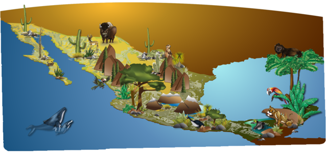 REGIONES NATURALES timeline | Timetoast timelines