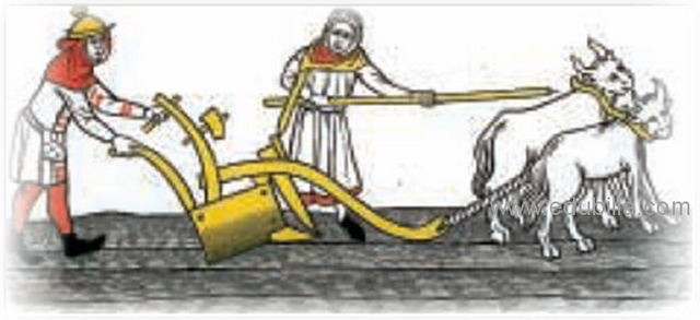 Agricultural timeline | Timetoast timelines