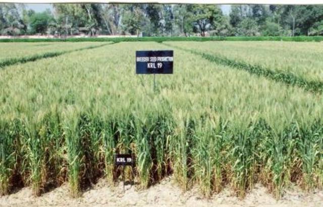 Agricultural timeline | Timetoast timelines