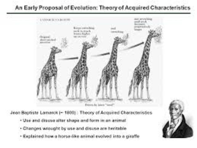 Evolution Timeline | Timetoast timelines