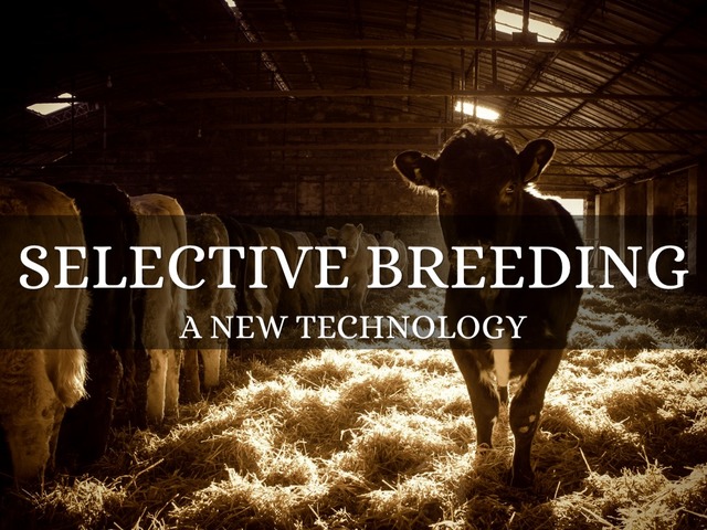 History of Agricultural Development timeline | Timetoast timelines